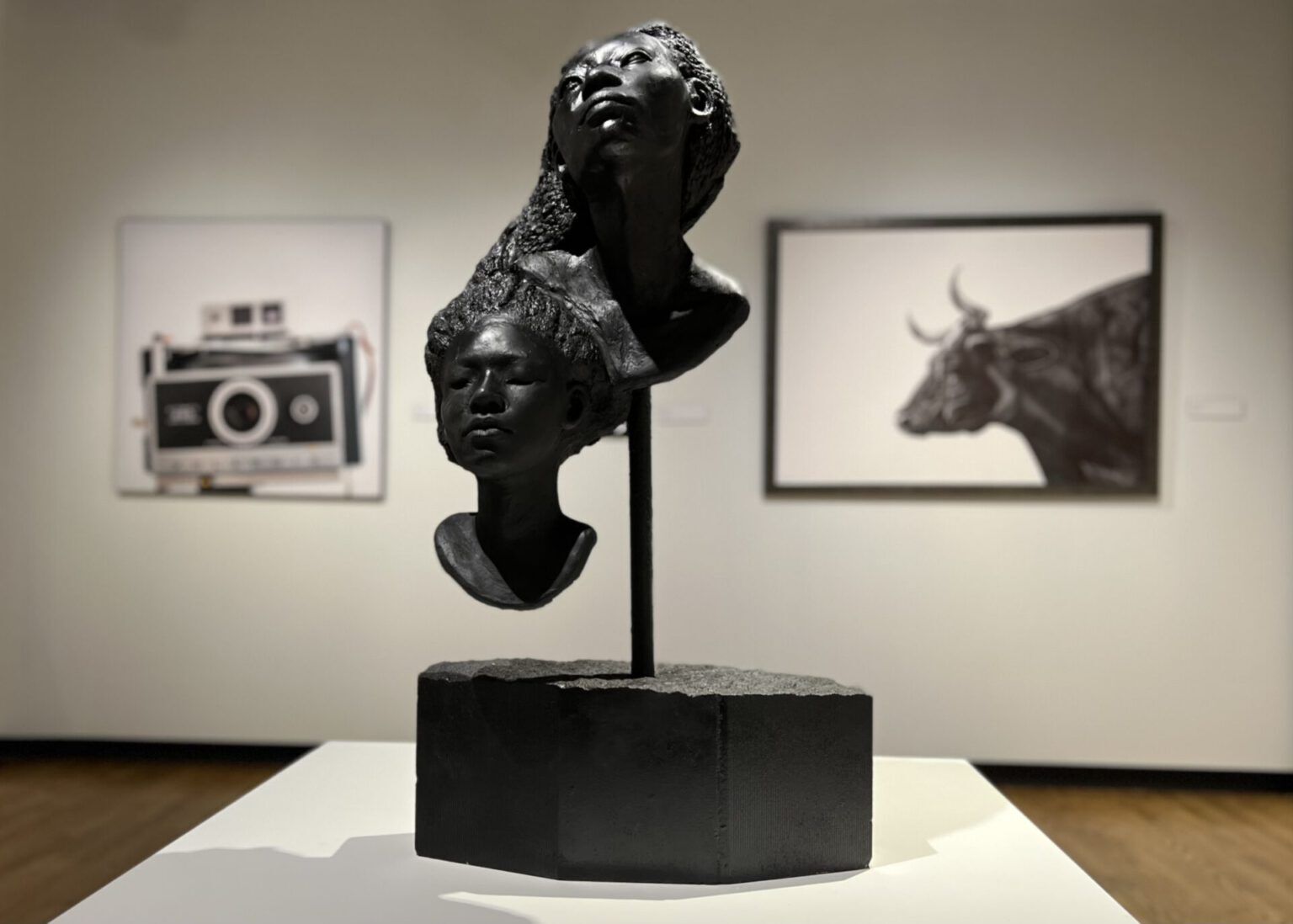 Visit - Muskegon Museum of Art